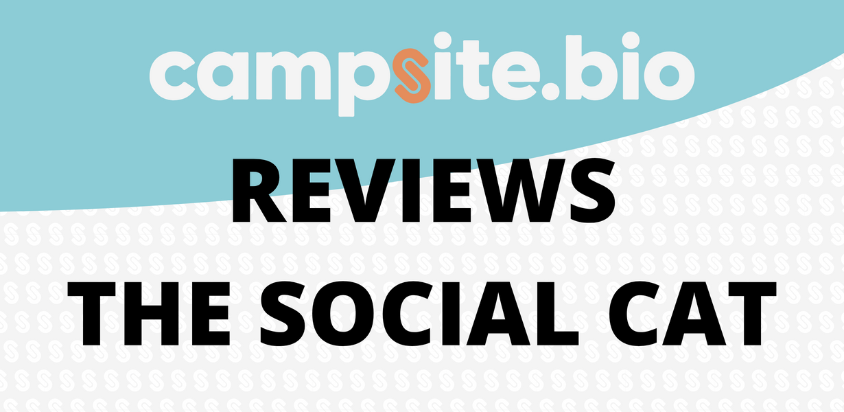 Social Cat Review 2023